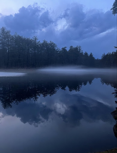 Peaceful Pines Gallery - Happy Grounds