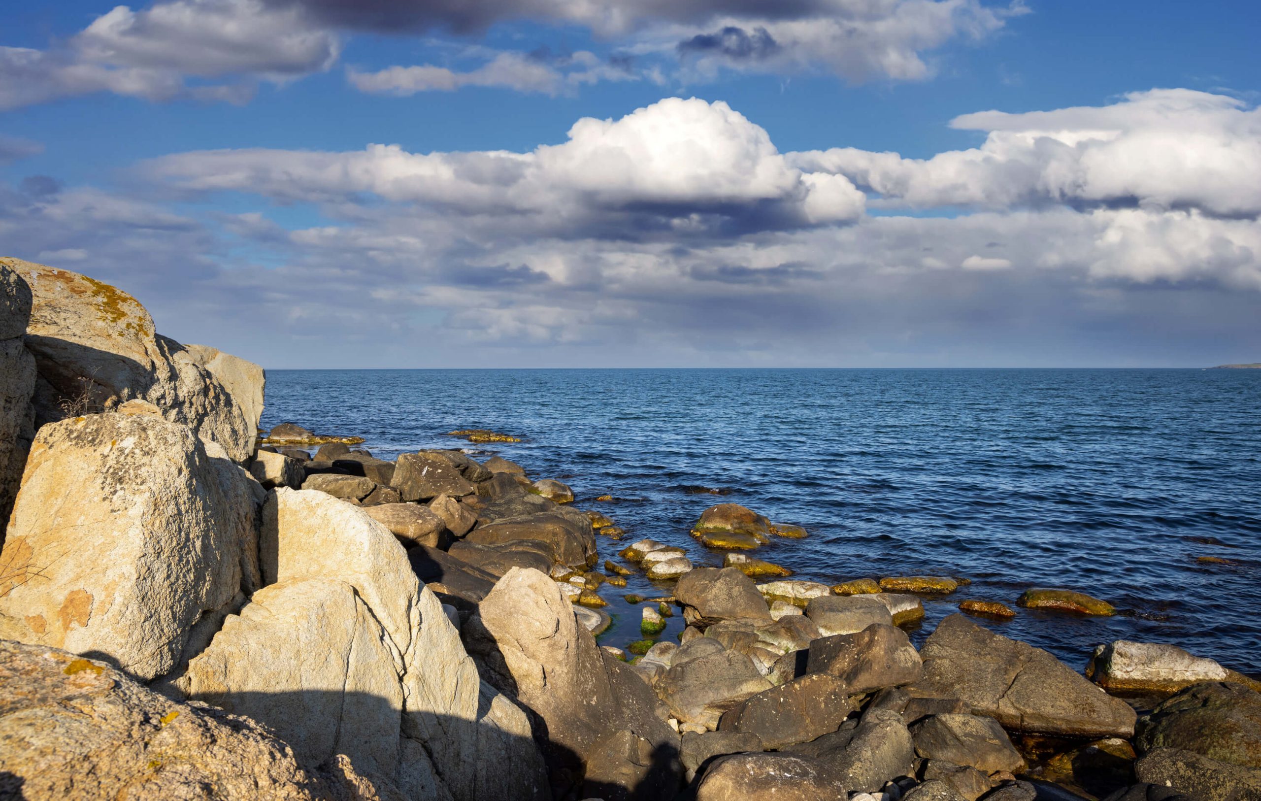 Experience the Charm of New England - Happy Grounds